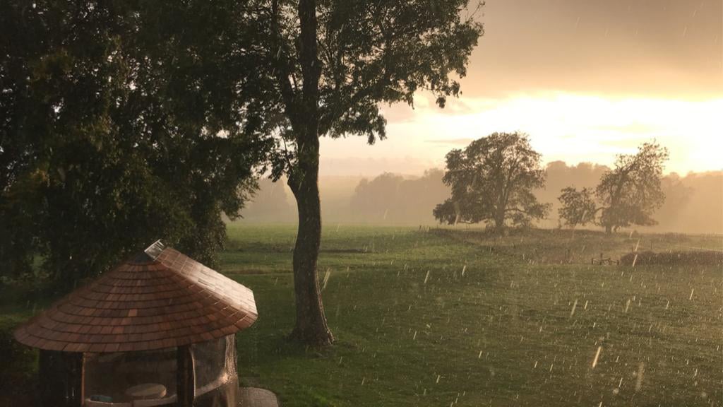 Wonders of Wet Weather